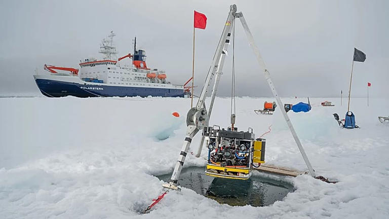 Moonpool, Tiefsee-Roboter und Drohnenflotte: Das plant Deutschland für ...