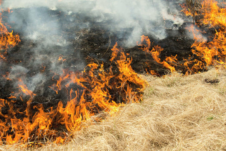 Emergency crews work to contain Randall County fires