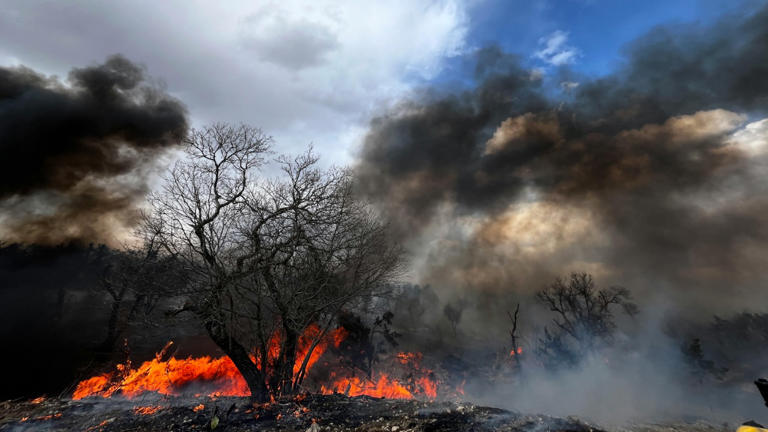 New Mexico’s Six Mile fire reaches 24% containment as structures are ...
