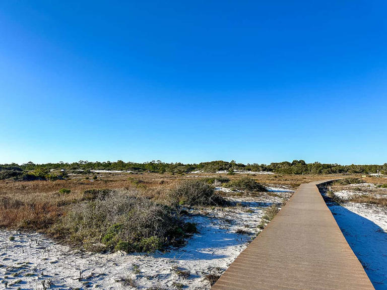 3 days in Pensacola: The complete family itinerary for beaches, history ...