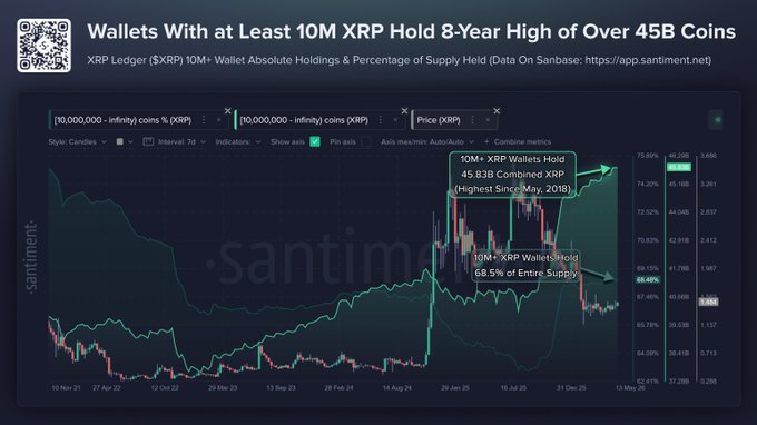 XRP whale wallets hit 8-year high as holdings reach 45.83B XRP