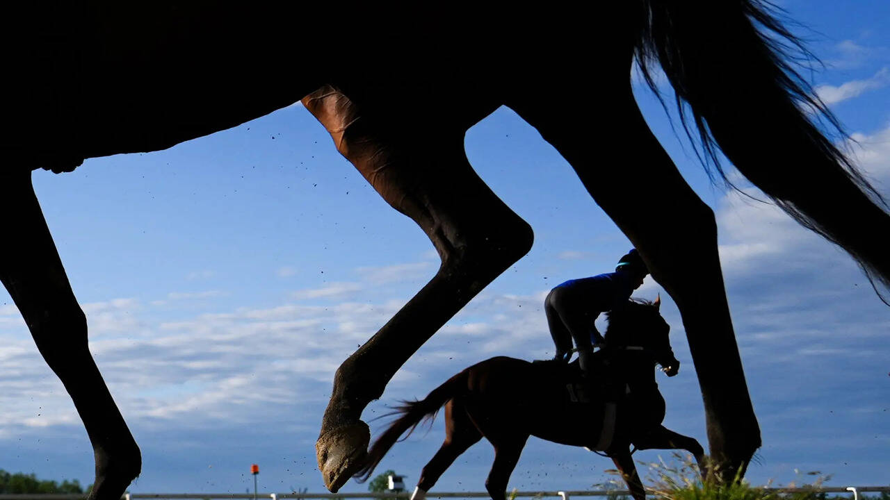 Preakness Stakes at Laurel Park set to feature competitive field ...