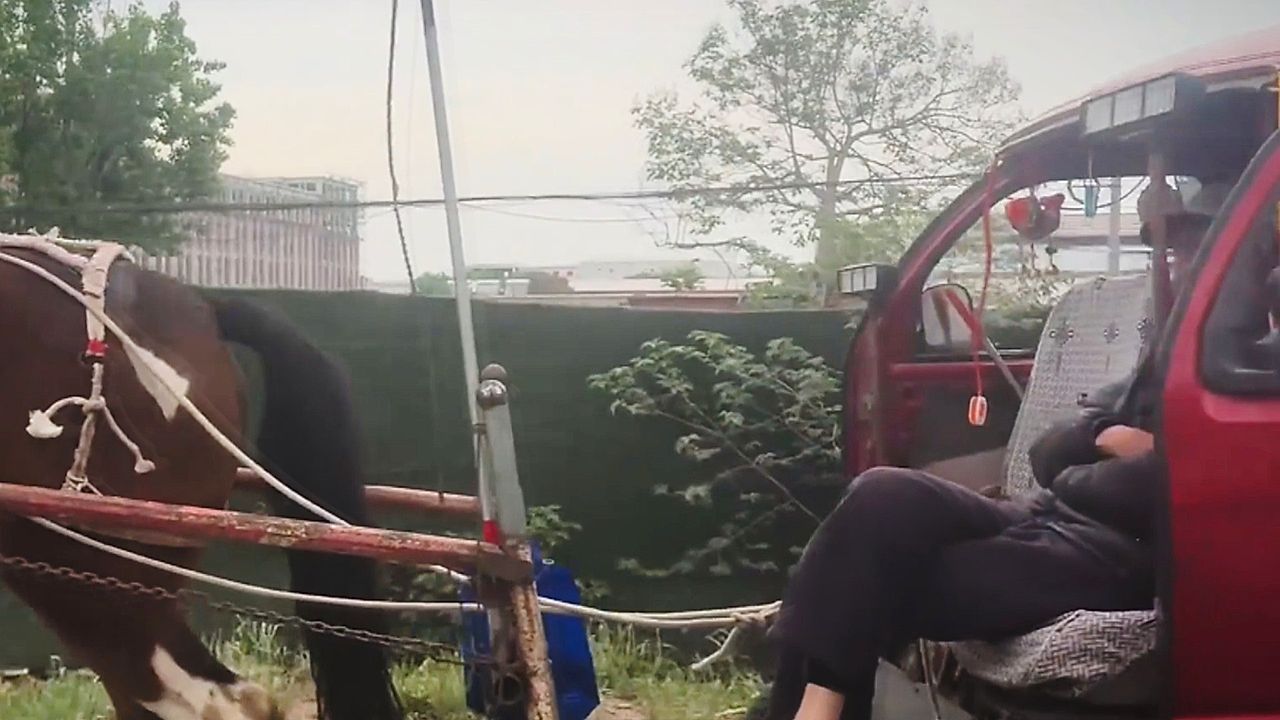 Horse pulls stripped-down minivan along road in China