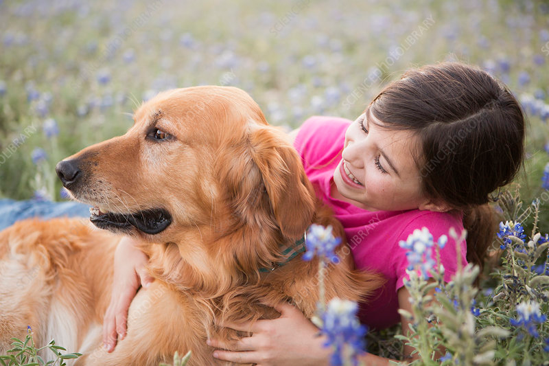Shelter dog has sweetest reaction when little girl returns to adopt her