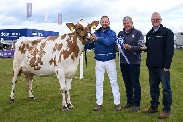 Dairy winners from Balmoral Show 2026