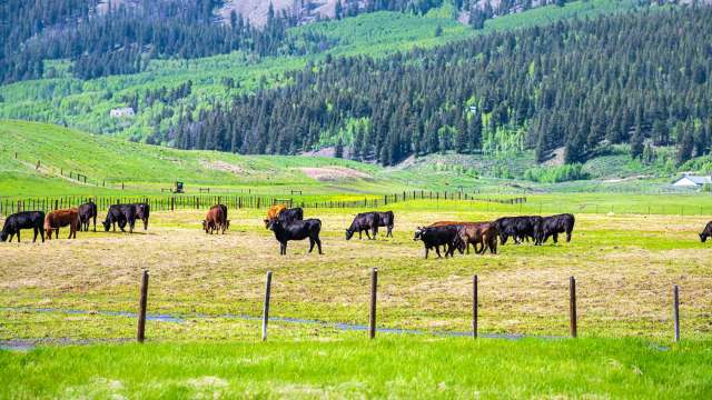Descendants of 1844 land grant win grazing rights on billionaire's ...