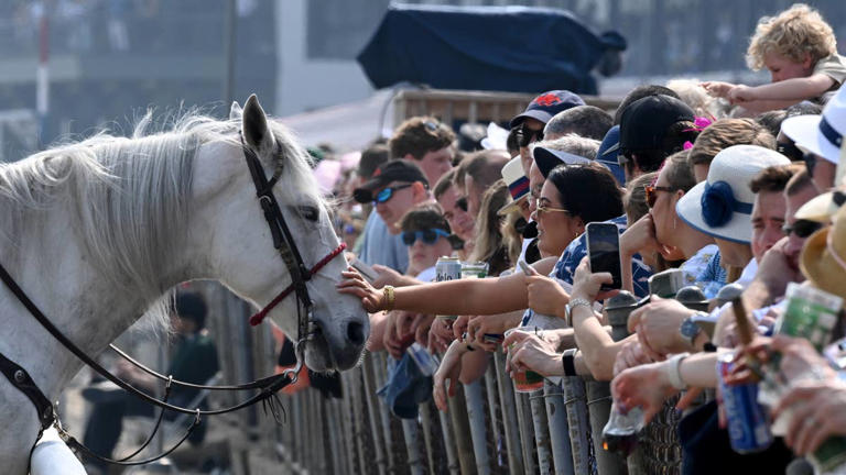 NYRA announces 2026 Saratoga breakfast and thoroughbred farm tours