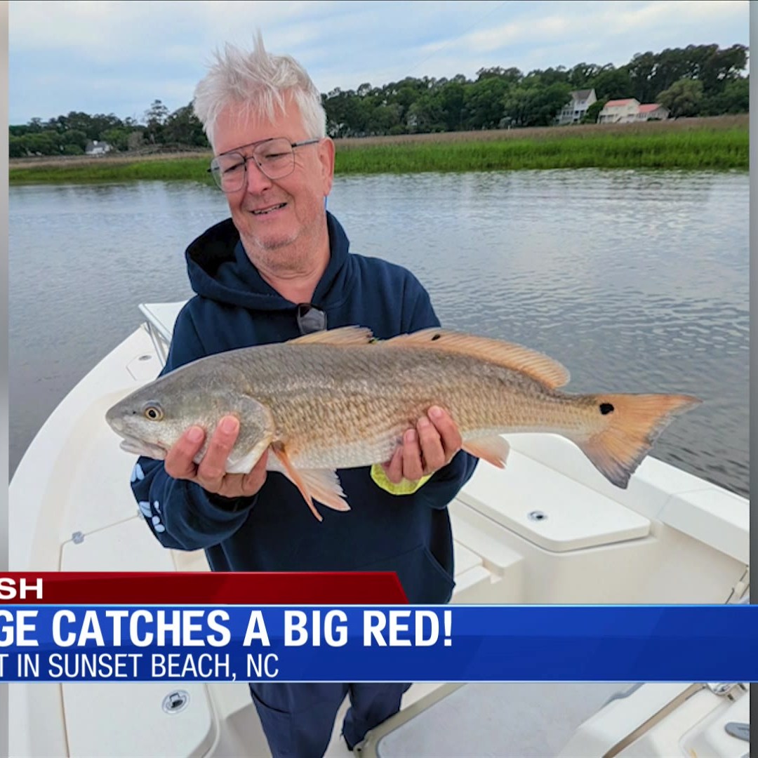 Big ol’ fish: May 15, 2026