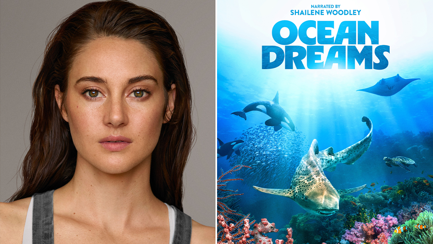Shailene Woodley narrates 'Ocean Dreams' documentary