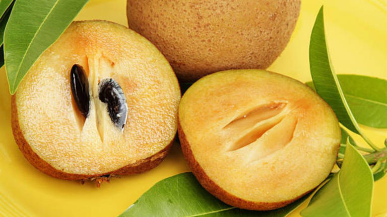 What is chiku called in English?