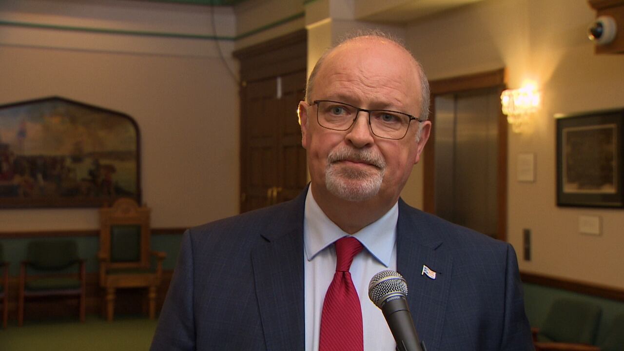 Churchill Falls MOU review panel won’t present their own report despite ...