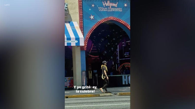 Man abandons exotic snakes on Hollywood Walk of Fame while fleeing LAPD