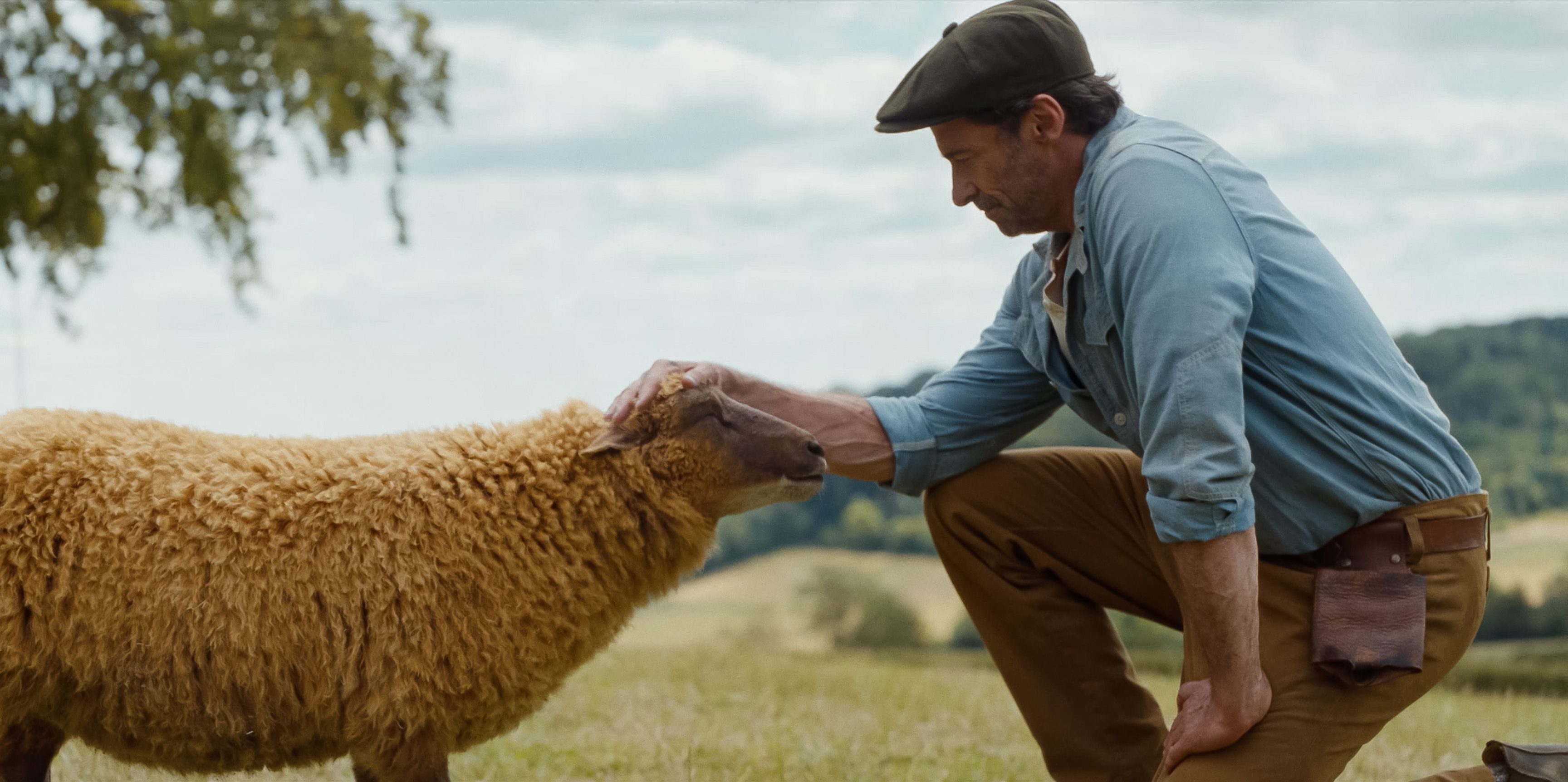 Yes, 'The Sheep Detectives' really is that good