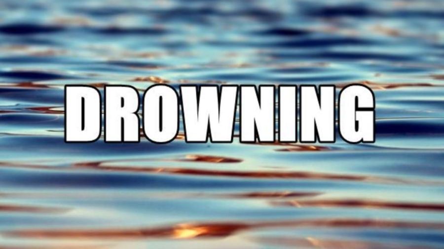 1-year-old drowns after dog opened baby gate, back door: Mom says