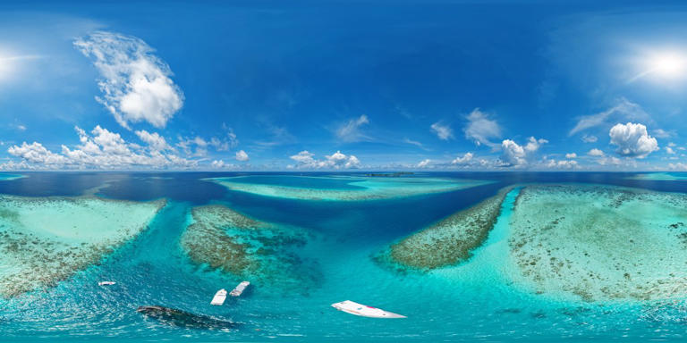 How sole survivor of ill-fated Maldives scuba dive that killed 5 ...