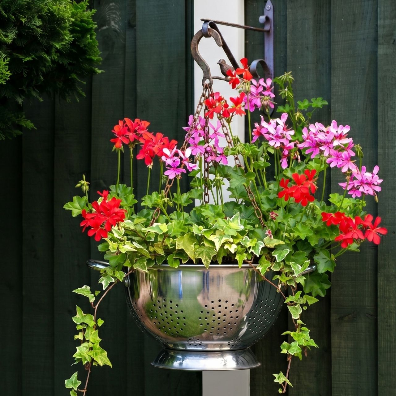 Your old colander might be the best hanging basket you never thought to use