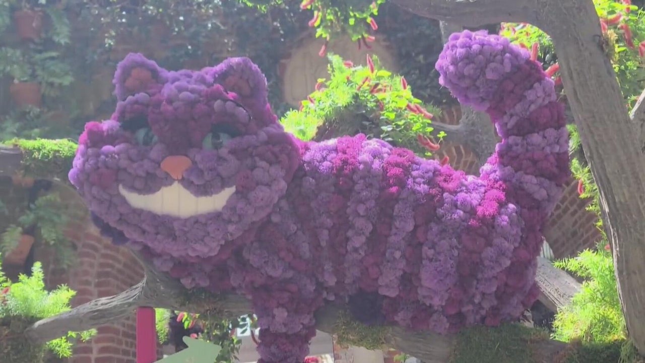 Alice in Wonderland-themed flower show takes Phipps visitors down the ...