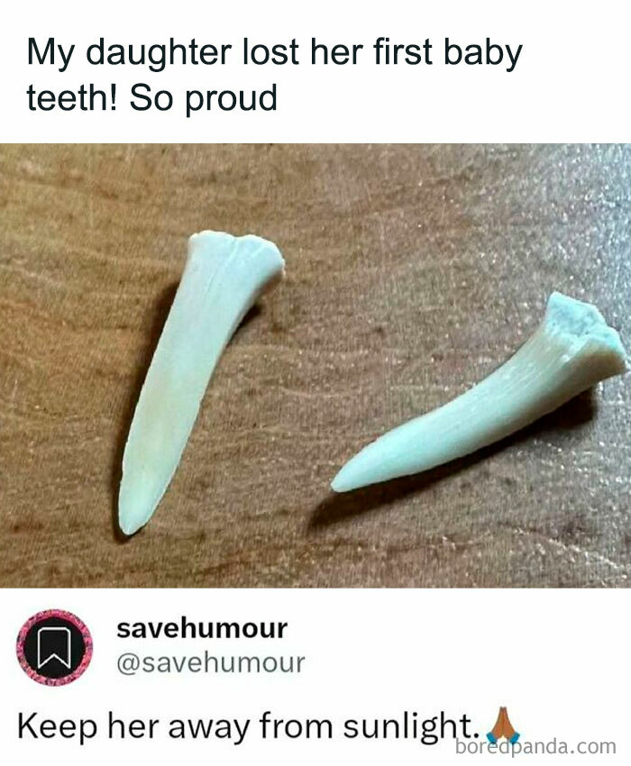 Memes worth saving: 58 posts to keep you entertained