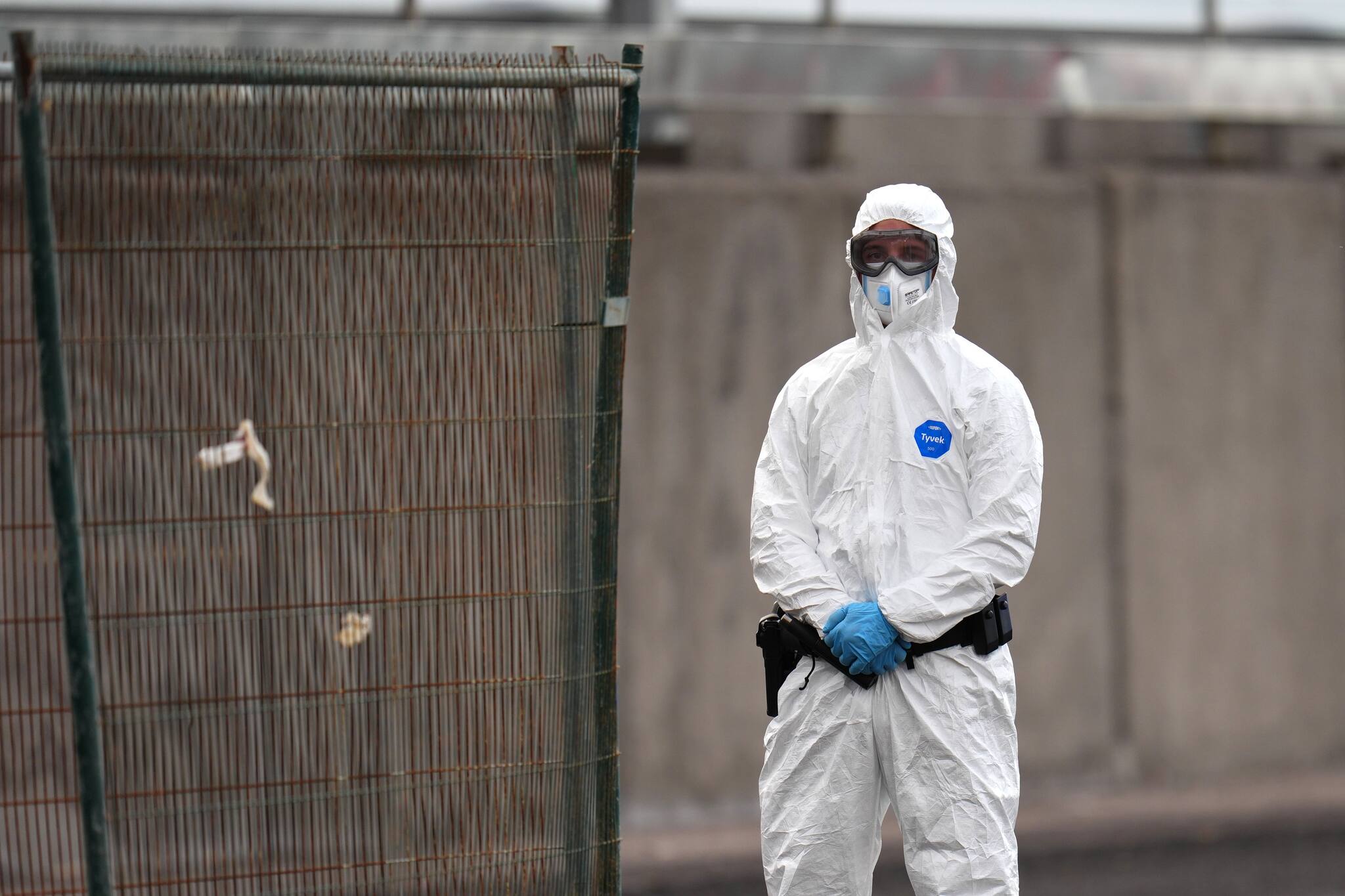 WHO: Keine Hinweise auf gefährliche Hantavirus-Mutation – aber noch ...