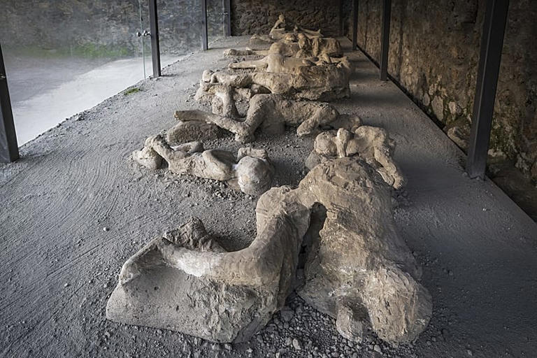 Extraordinary discovery in Pompeii: A doctor identified thanks to his ...