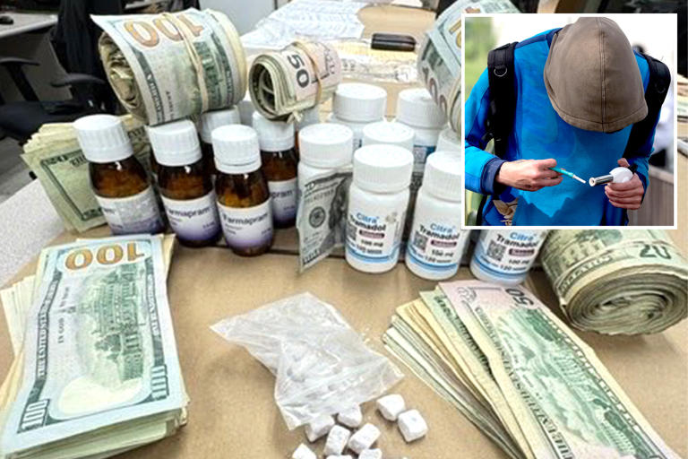 MacArthur Park drug crackdown nets more arrests in fentanyl sting