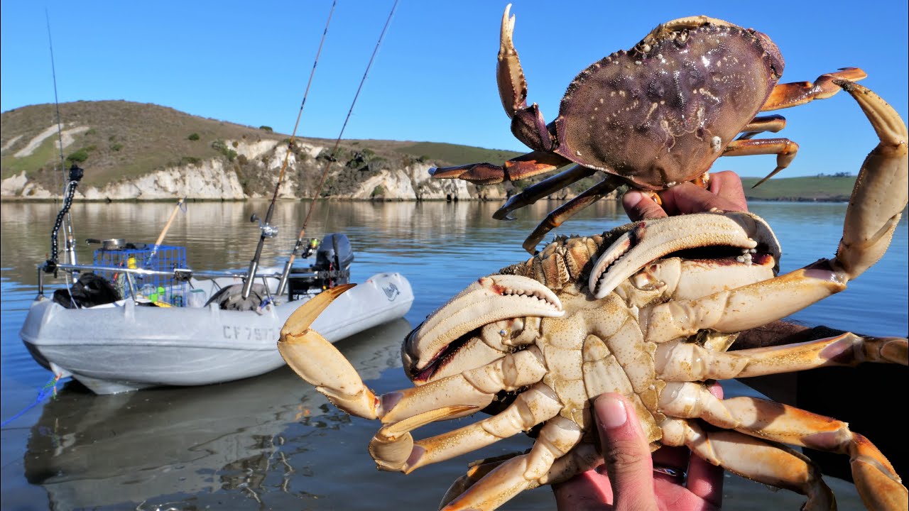 Catch, cook and camp boat-in only crabbing adventure!