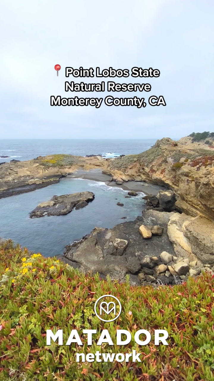Let California’s Point Lobos State Nature Reserve kindle your creativity