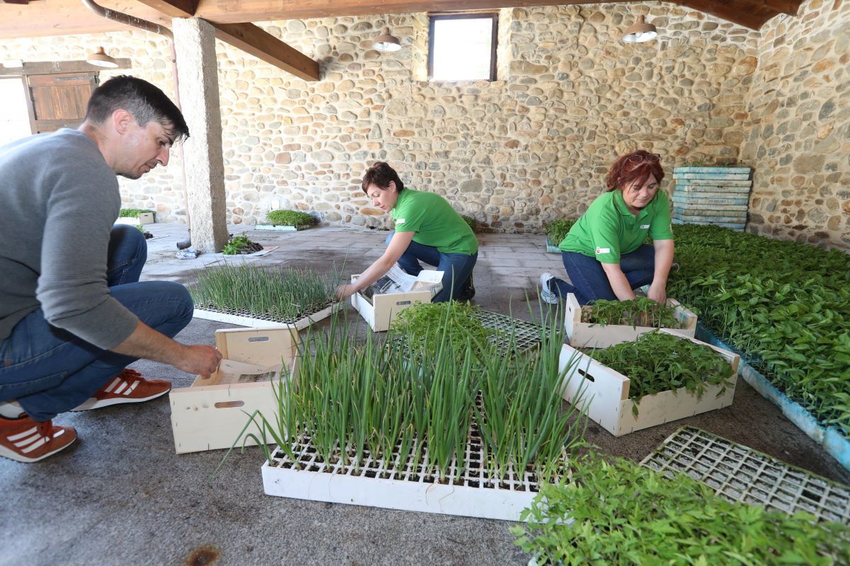El Banco de Tierras del Consejo abre el programa de entrega de plantas