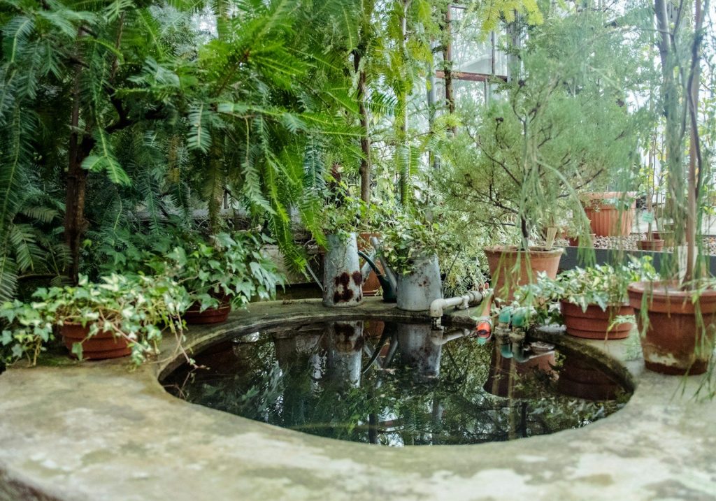 Why more homeowners are adding water features and mini ponds outdoors