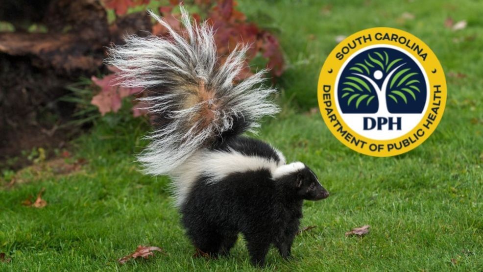Rabid skunk confirmed in Saluda County; 15 animals may have been exposed