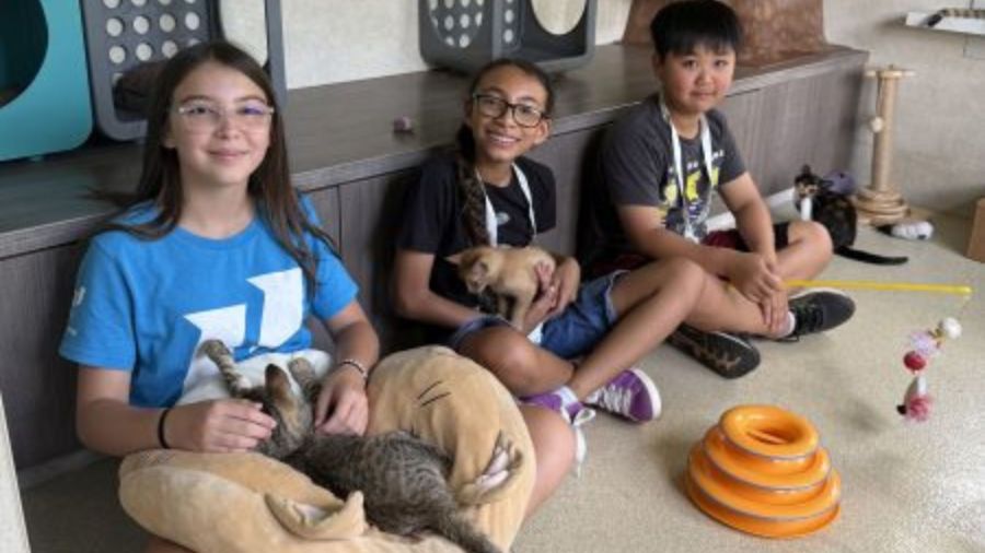 Find the perfect summer camp for your keiki on Oʻahu this year