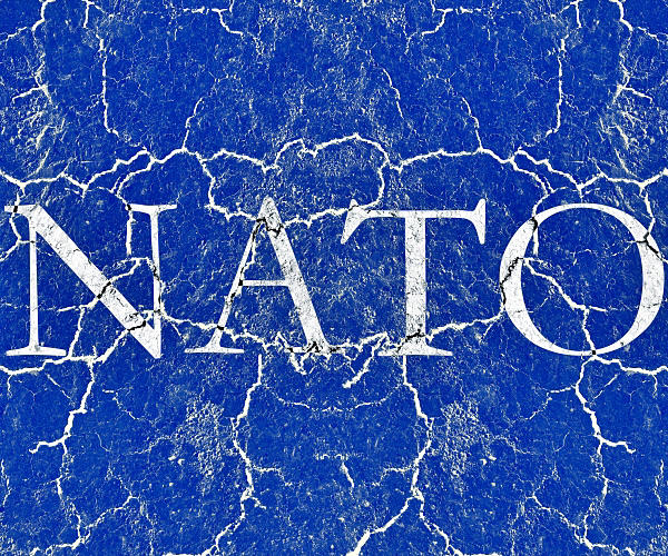 80 House Republicans back failed bid to cut NATO funding