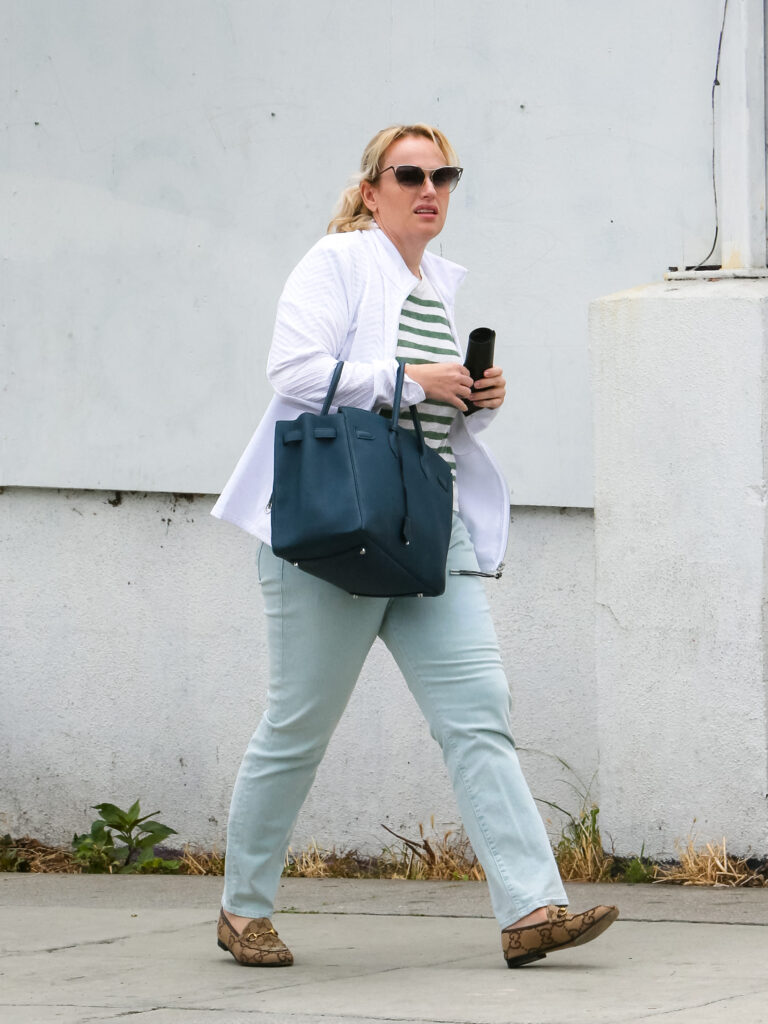 Rebel Wilson’s ‘The Deb’ lawsuit heading to trial sparks Blake Lively ...