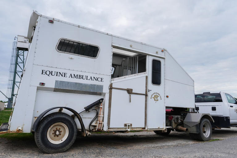 Horse dies after finish line collapse in horror start to Preakness weekend