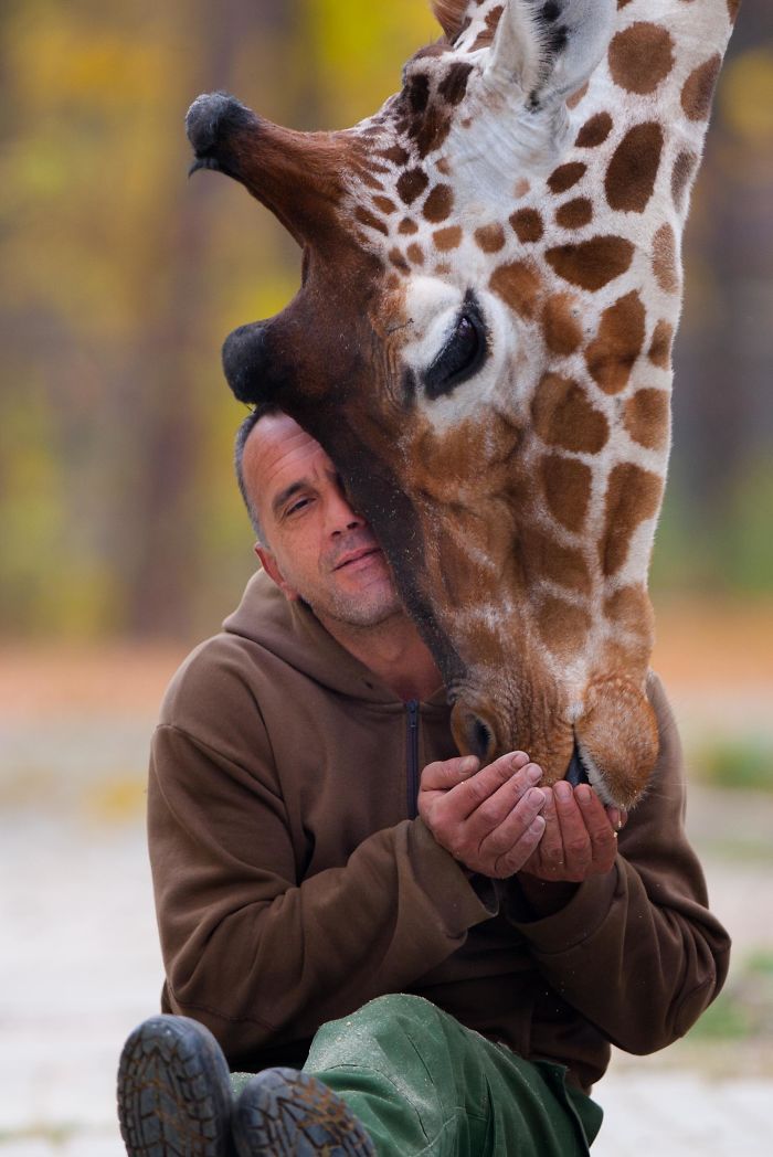 13 photographs illustrating a special bond between the zookeeper and ...