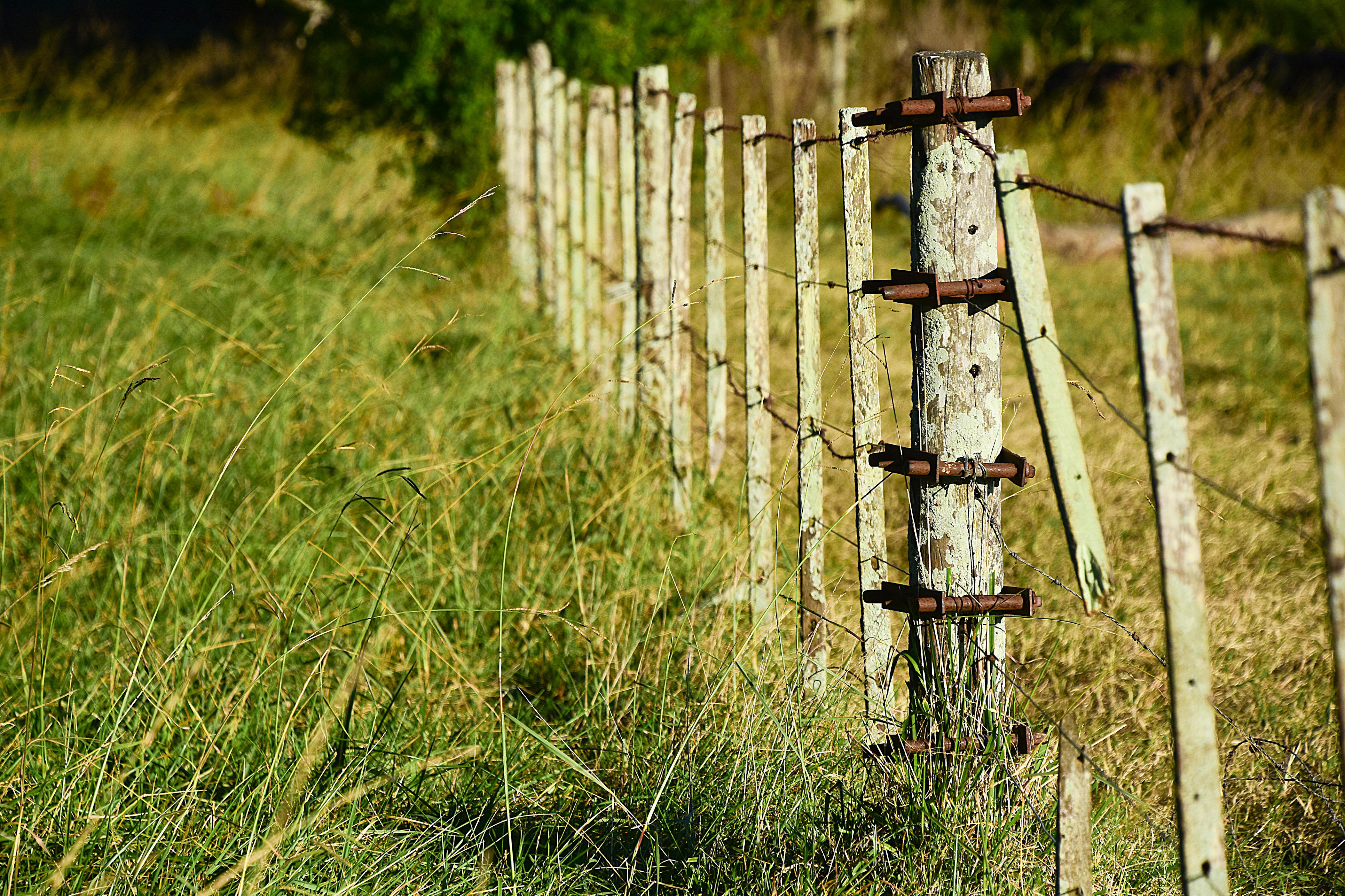 12 land ownership rules off grid settlers keep violating without even ...