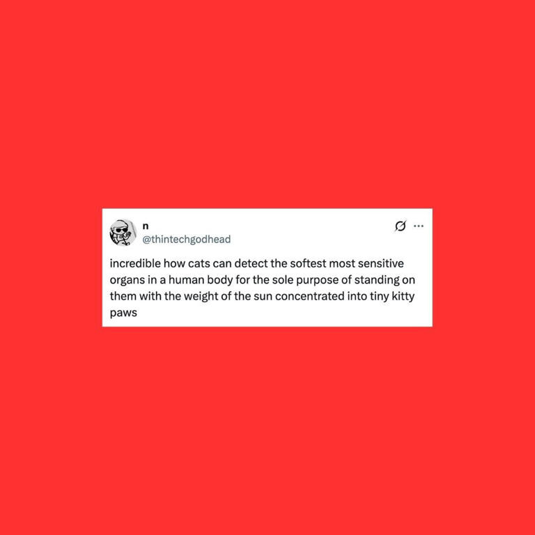 20 of the funniest posts about cats and dogs this week (May 9-15)
