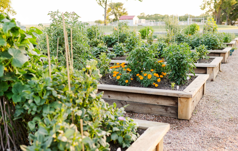 10 Beautiful Ideas To Transform Your Spring Garden
