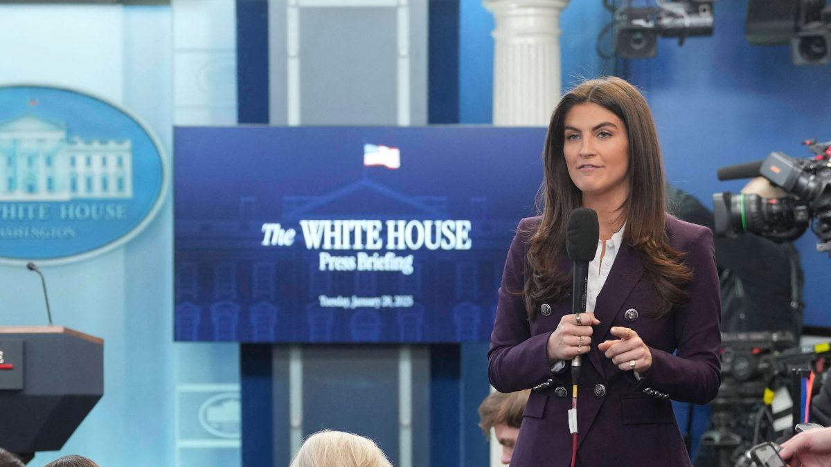 Kaitlan Collins ridicules Trump loyalist with his own words on gas prices