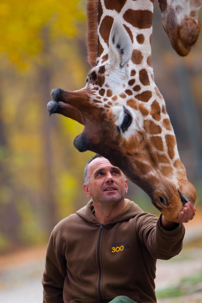 13 photographs illustrating a special bond between the zookeeper and ...