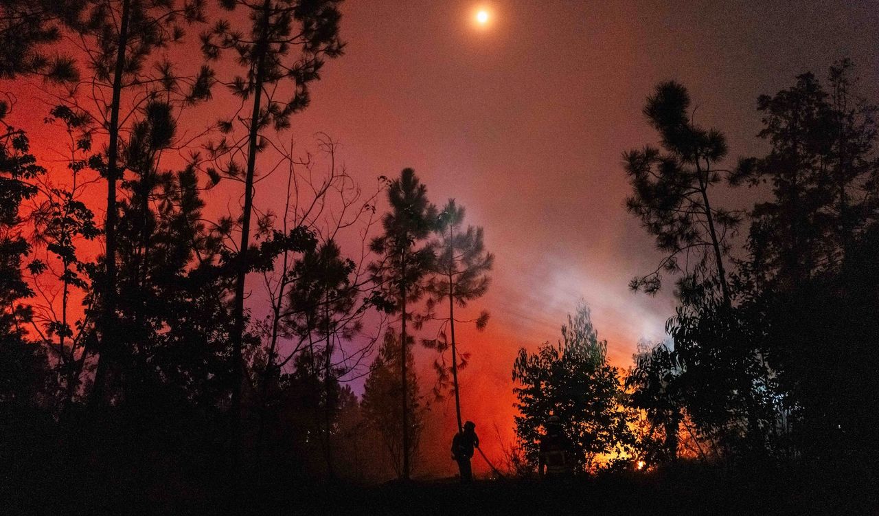 'Super' El Niño is now the most likely scenario by the end of this year ...