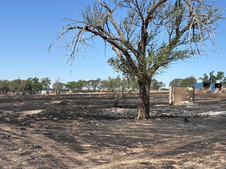Crews assess damage after Hunggate fire prompts evacuations near Canyon
