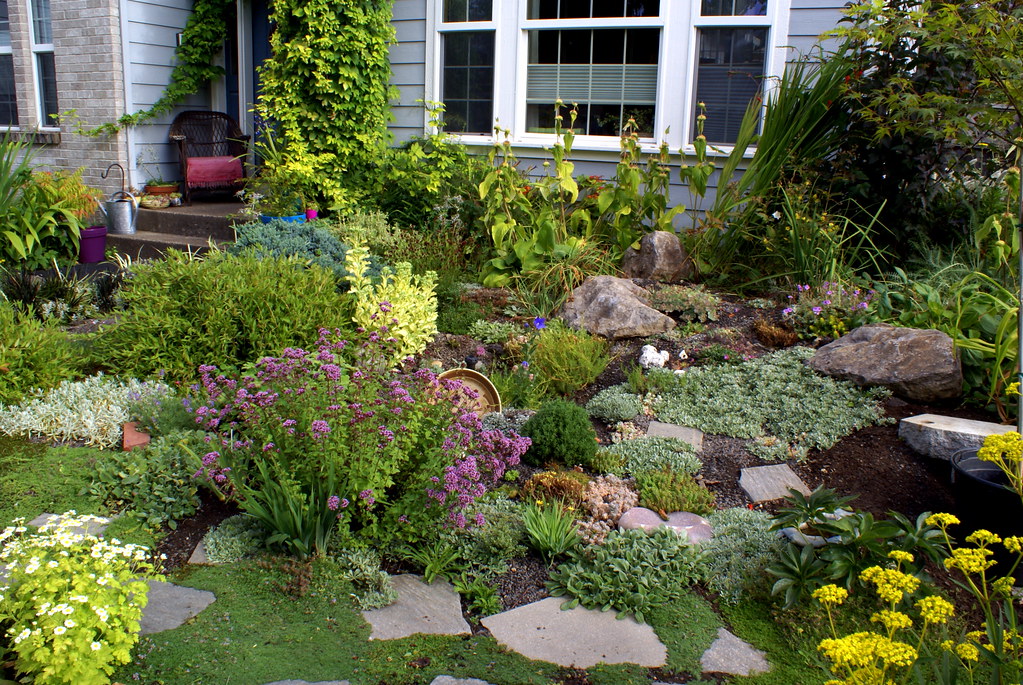 Best rock garden plants that thrive in sun or shade