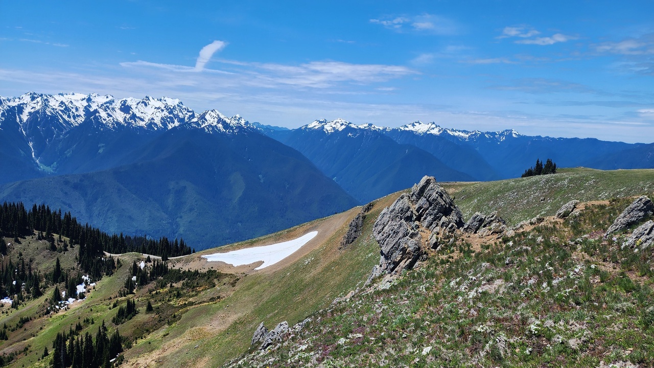 Olympic National Park is three worlds in one that most Americans have ...
