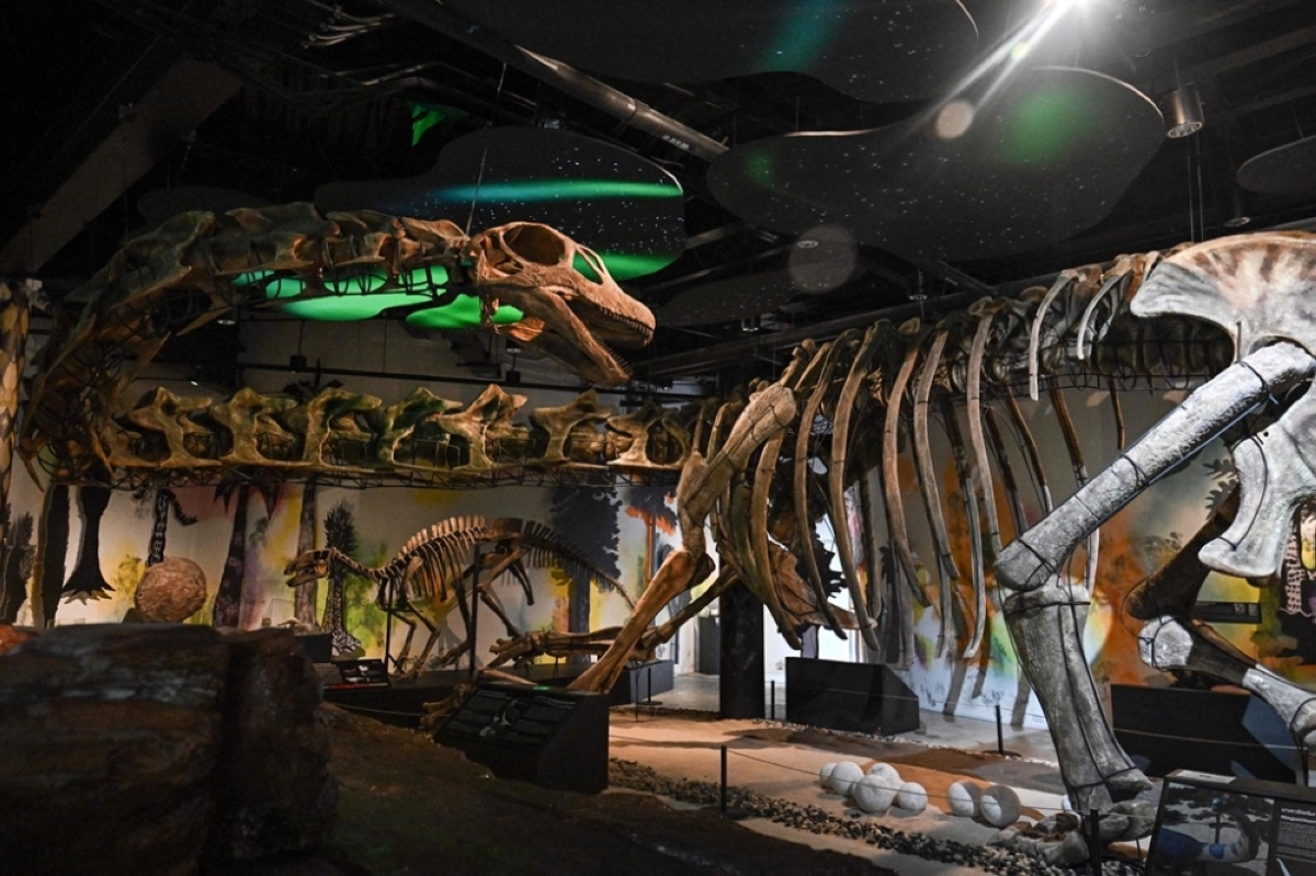 Southeast Asia's largest dinosaur identified in Thailand