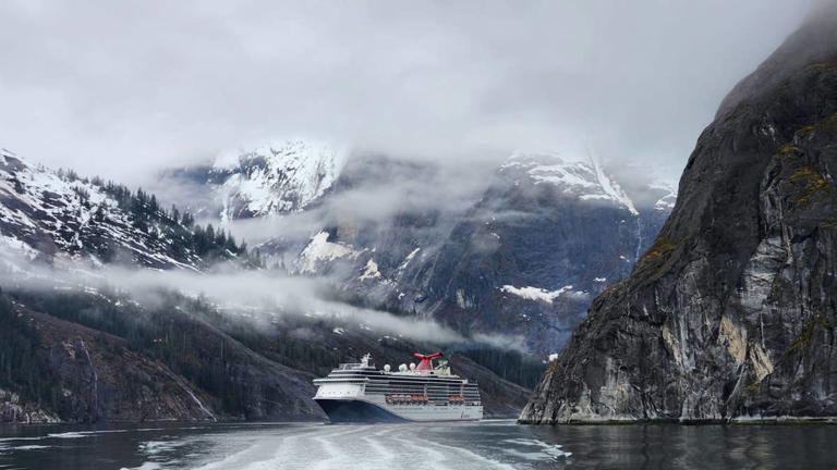 A Carnival cruise naturalist’s top tip for seeing wildlife in Alaska