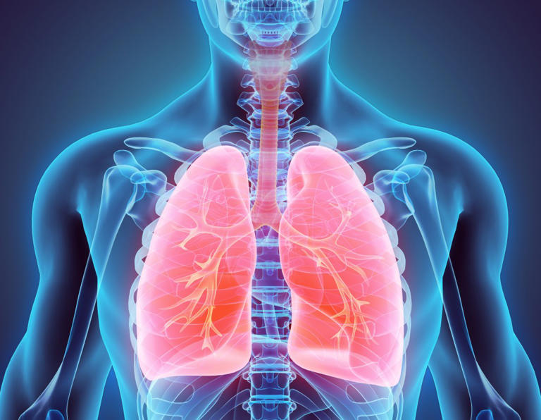What is oxygen toxicity? The scuba diving risk that may have caused 5 ...