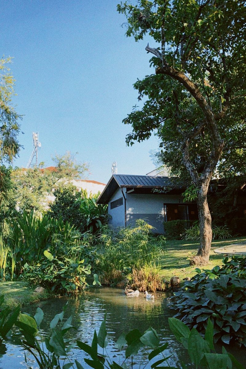 Why more homeowners are adding water features and mini ponds outdoors