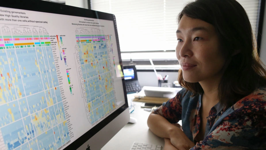 Scientists map genetic variants linked to hypertension risk