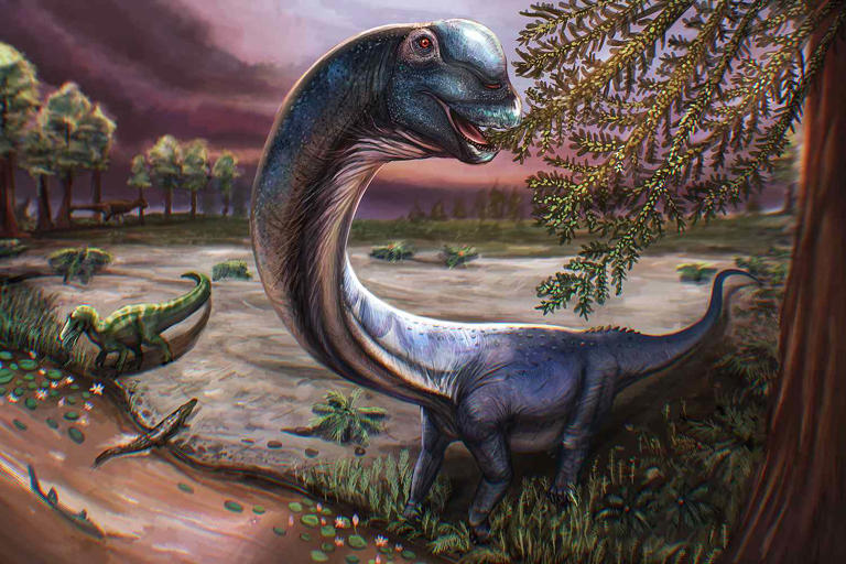 Giant new dinosaur identified from 'strange-looking rocks' found in pond
